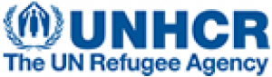 Polarized or normalized: press coverage in the time of the refugee ...