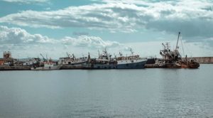 Memorie di una città: 30 anni fa la nave Vlora sbarcava a Bari ⁄ Open ...